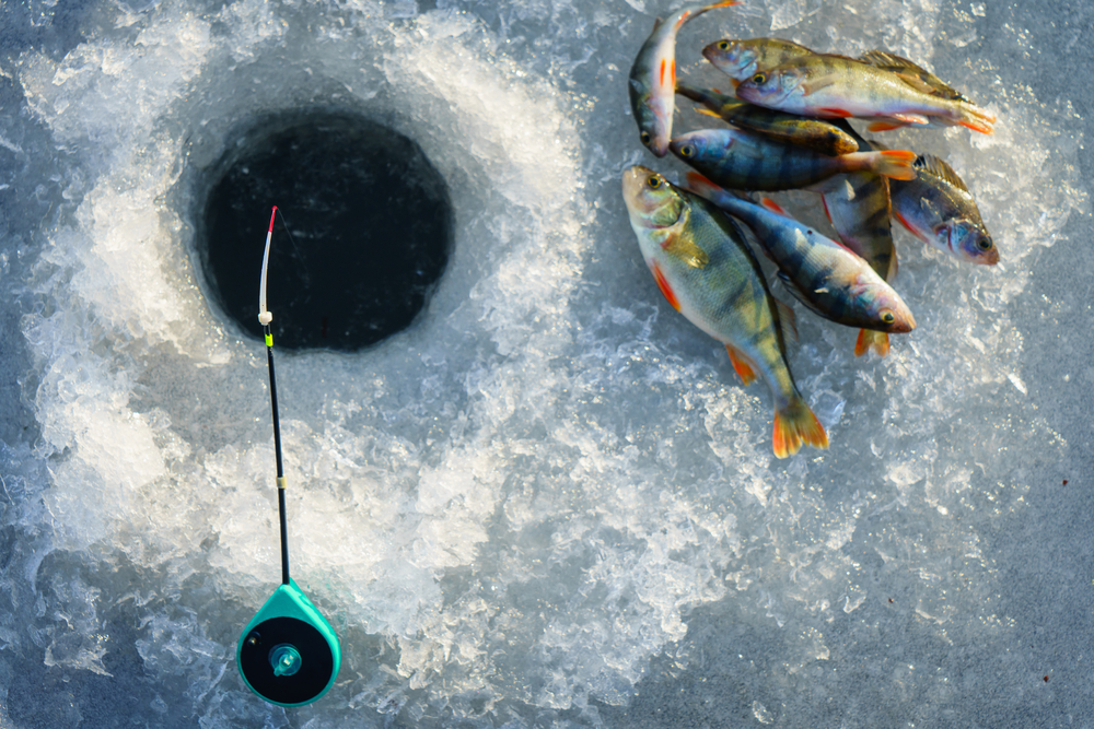 NORTHERN MICHIGAN ICE FISHING ADVENTURES | Big Bear Adventures